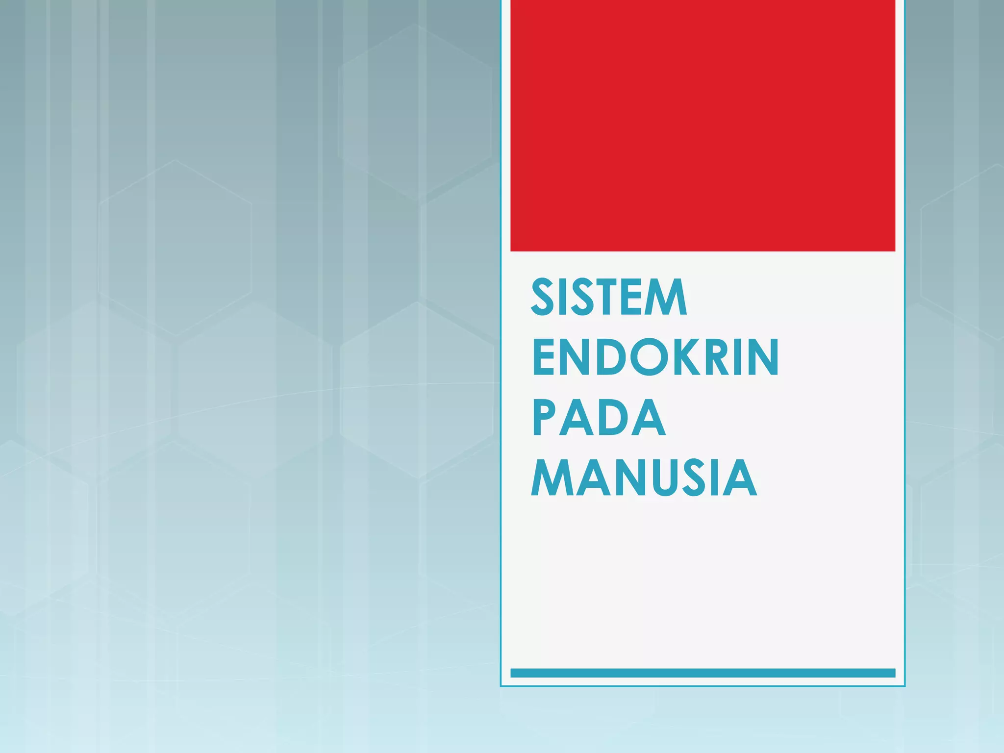 Sistem hormon-pada-manusia | PPT