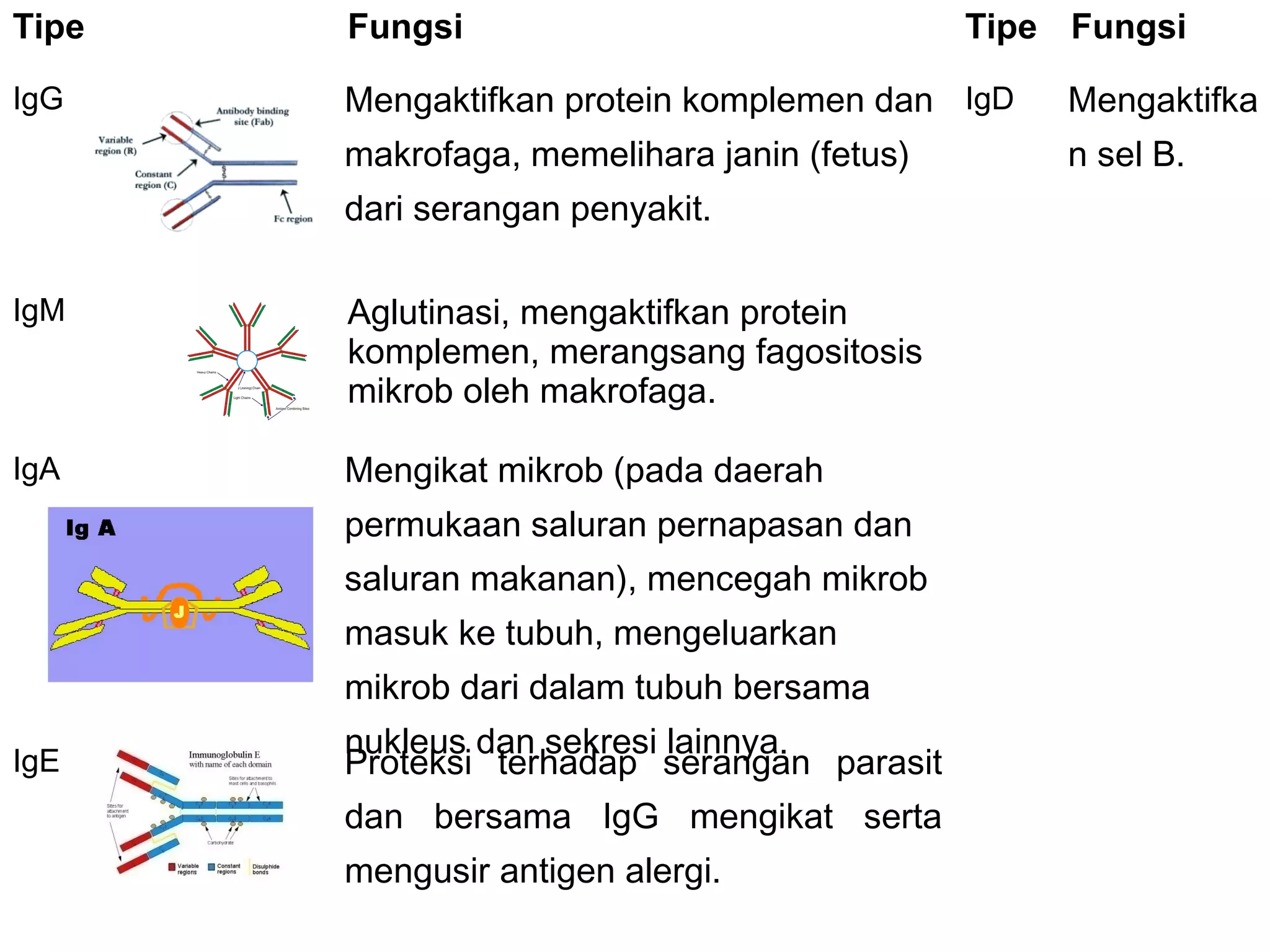 Sistem imun akper | PPT