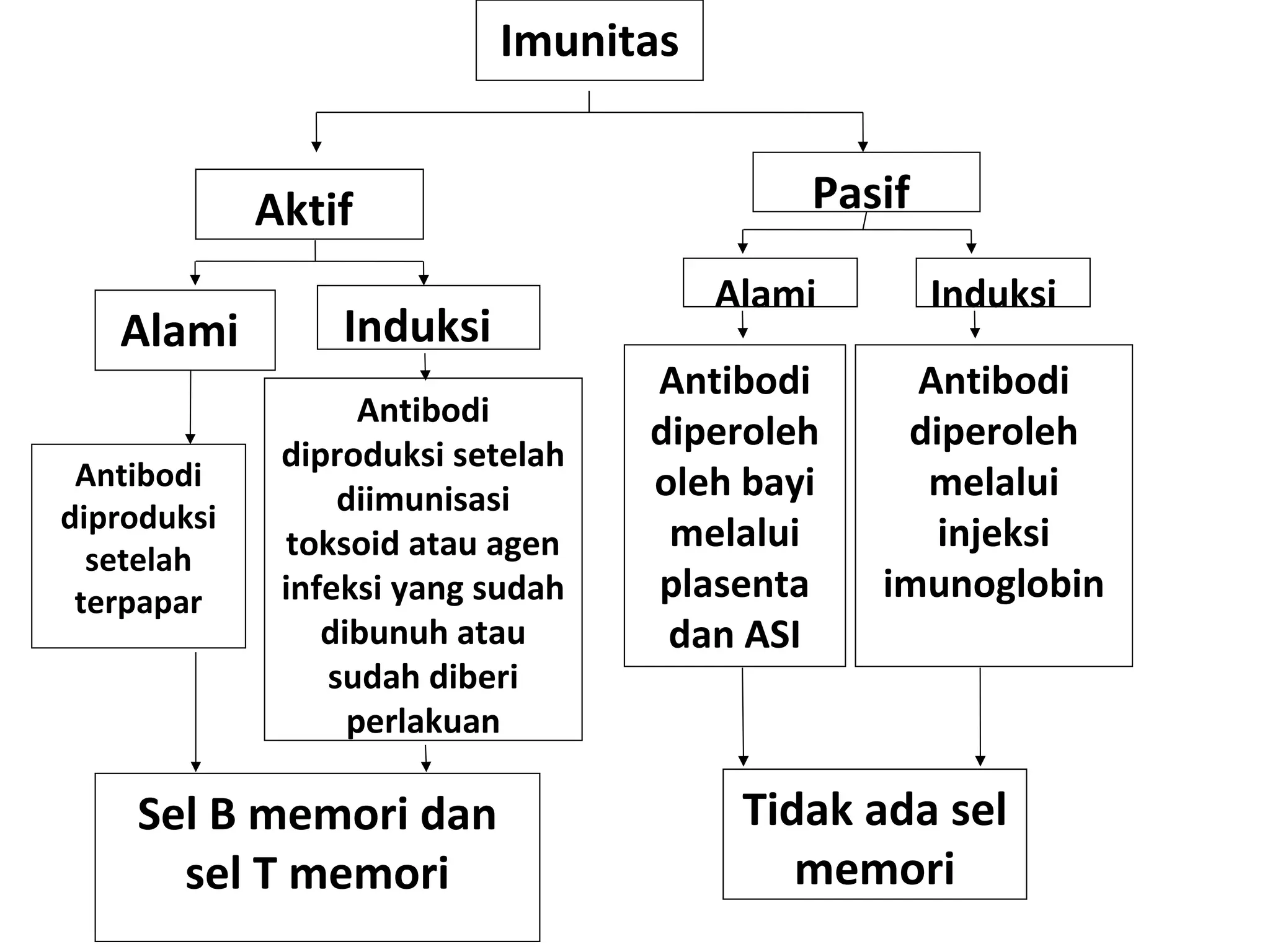 Sistem imun akper | PPT