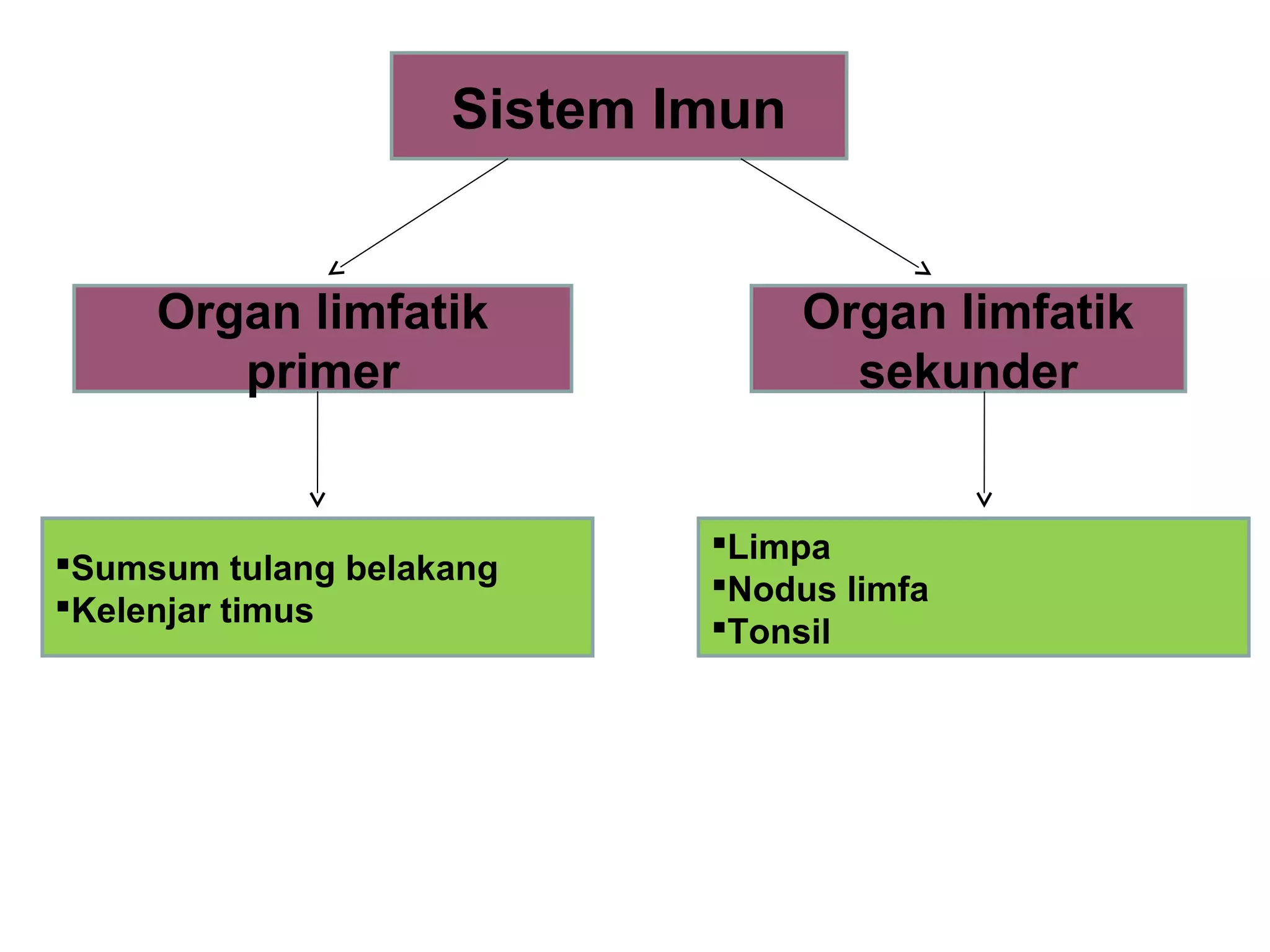 Sistem imun akper | PPT