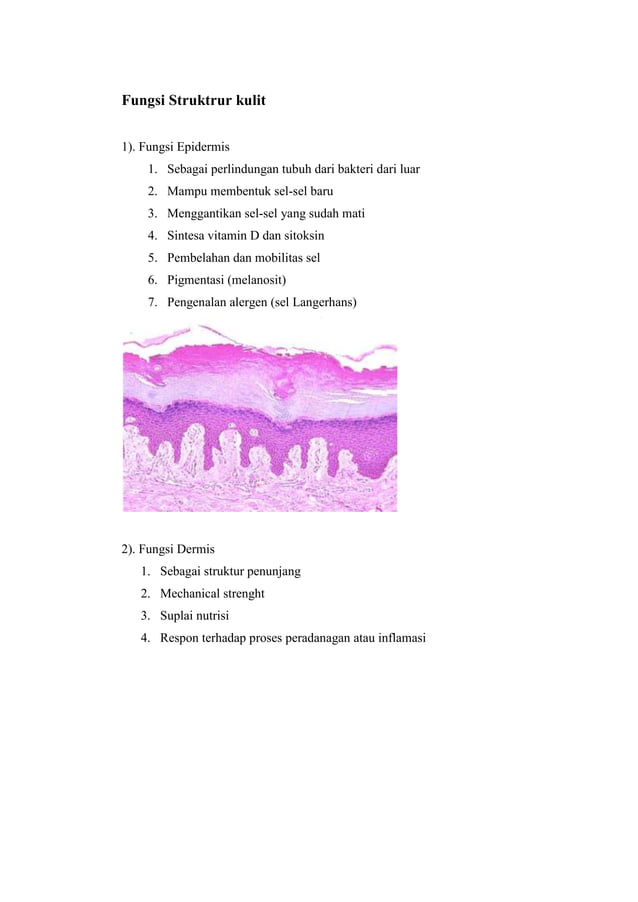 Sistem integumen | DOCX