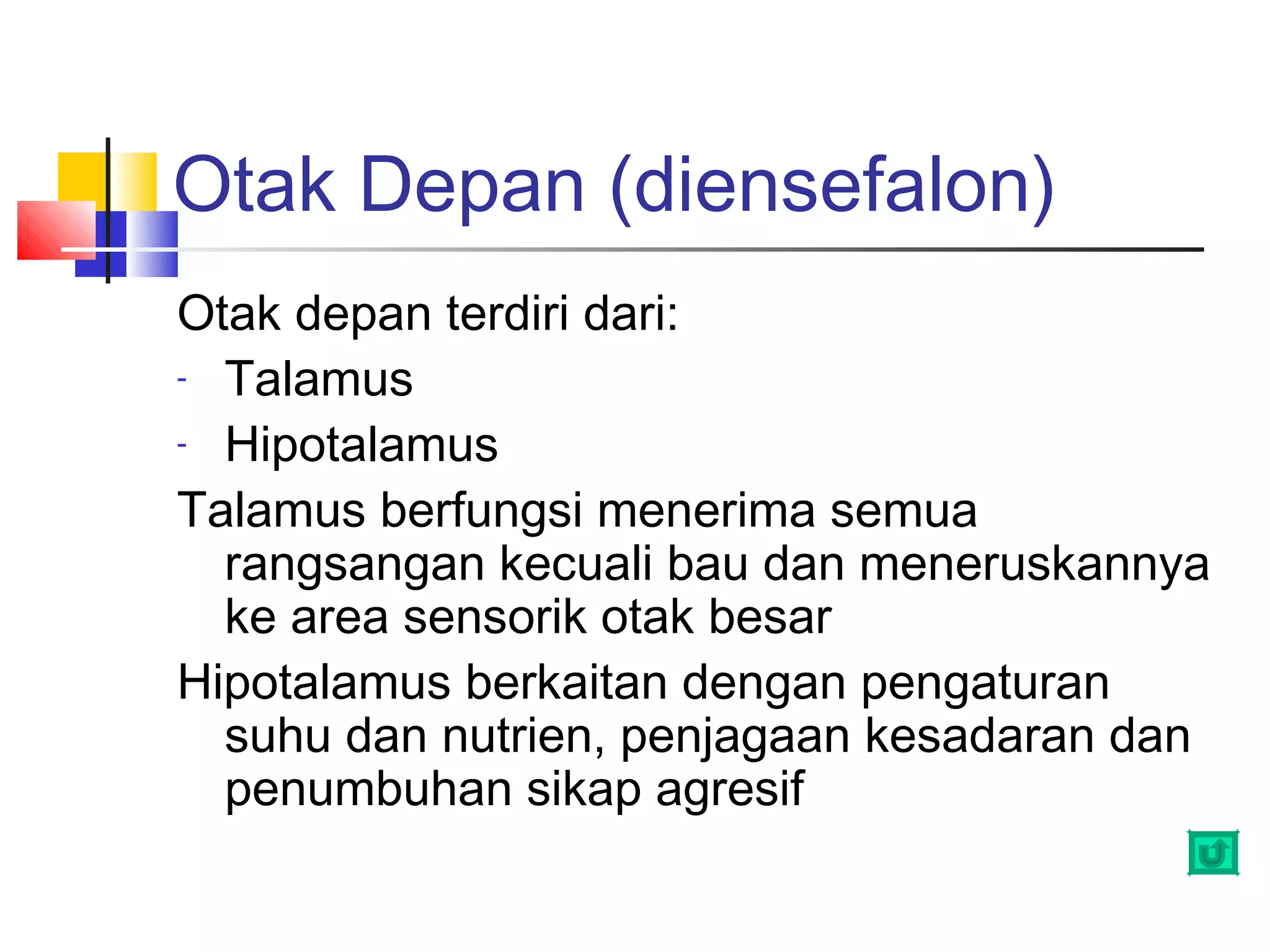 Sistem koordinasi-dan-indra-pada-manusia | PPT