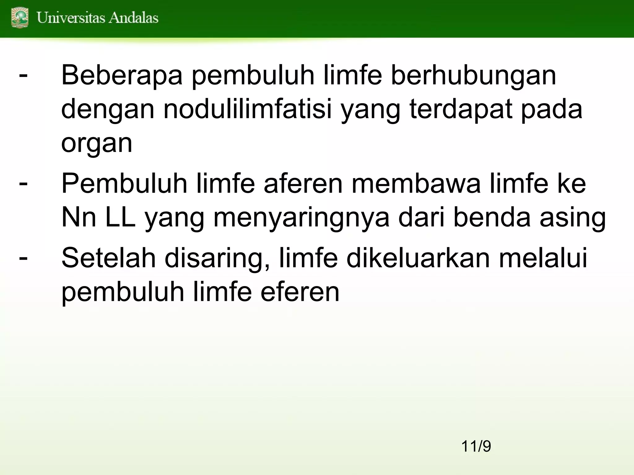 Sistem limfatik | PPT