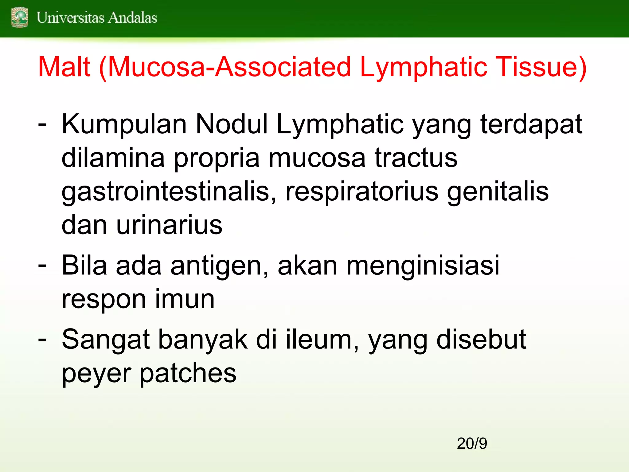 Sistem limfatik | PPT