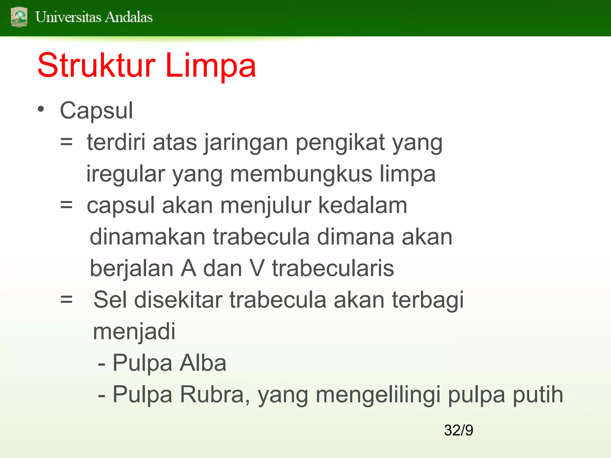Sistem limfatik | PPT