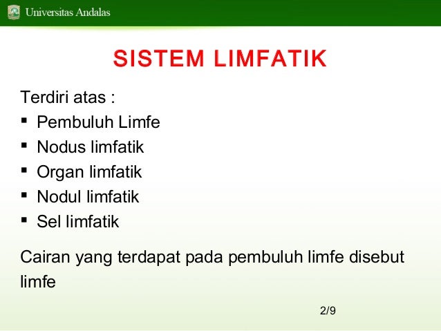 Sistem limfatik