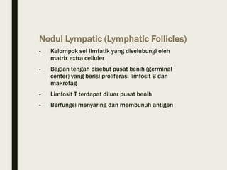 sistem-limfatik.pptx