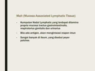 sistem-limfatik.pptx