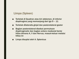 sistem-limfatik.pptx