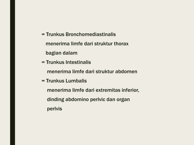 sistem-limfatik.pptx