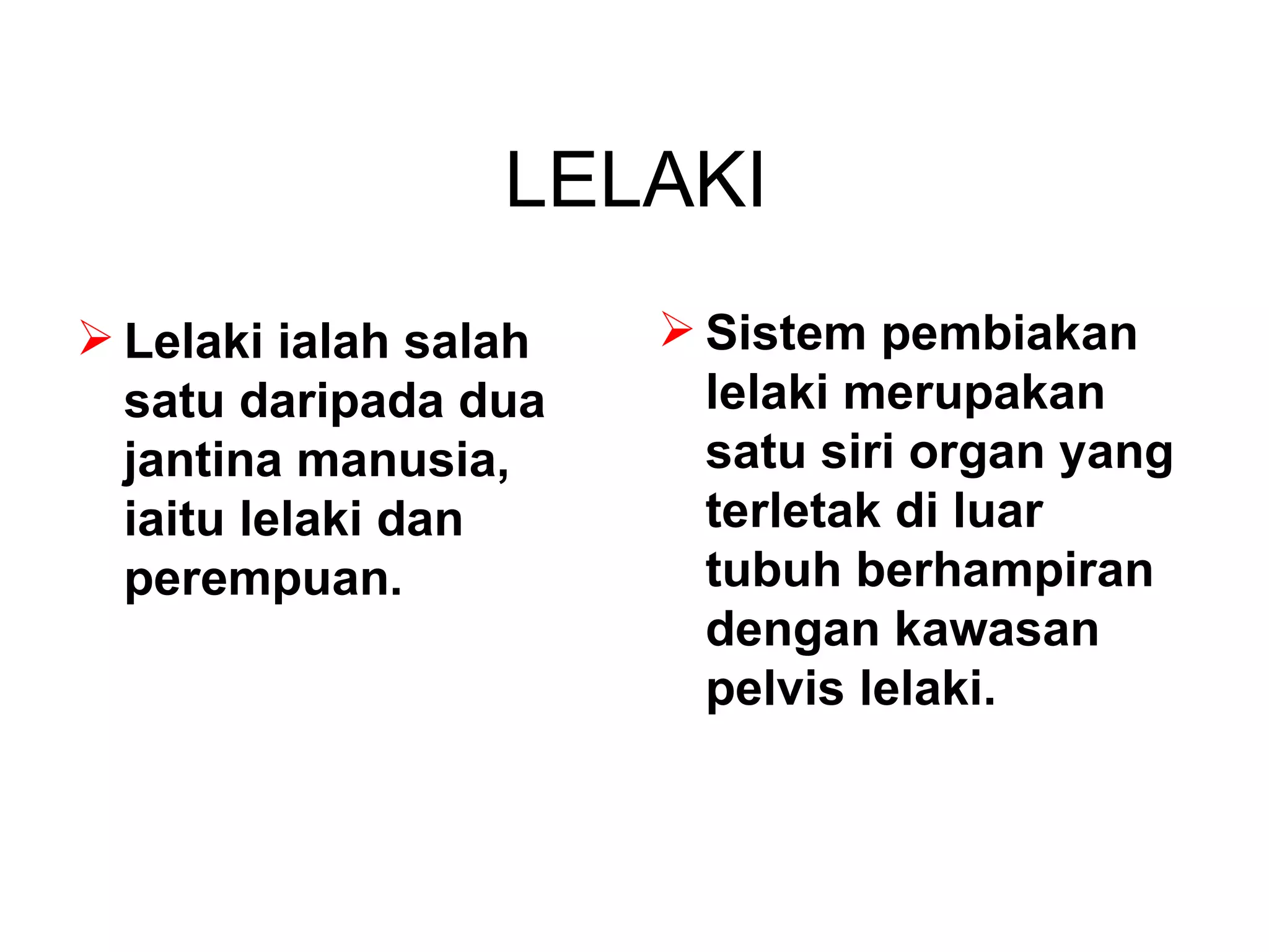 Sistem Pembiakan Lelaki 2 | PPT