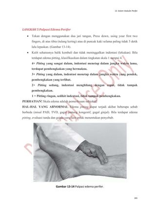 Sistem pembuluh-daraf-perifer | PDF