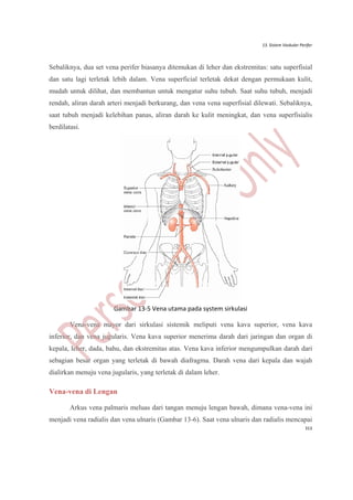 Sistem pembuluh-daraf-perifer | PDF