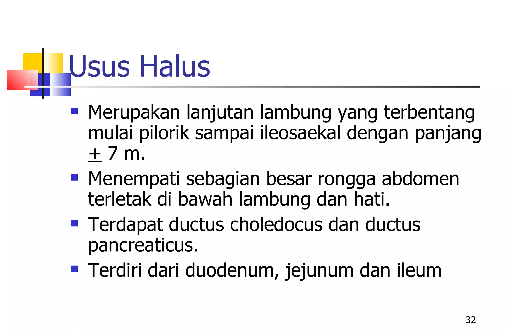 Sistem pencernaan | PPT