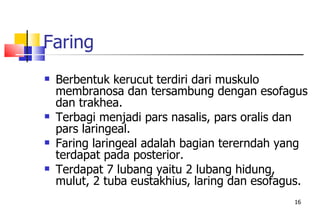 Sistem pencernaan | PPT