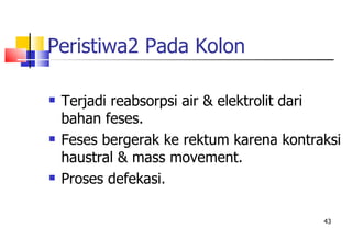 Sistem pencernaan | PPT