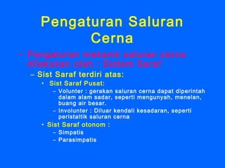 Sistem pencernaan | PPT