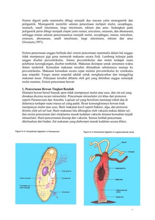 Sistem pencernaan-hewan | PDF