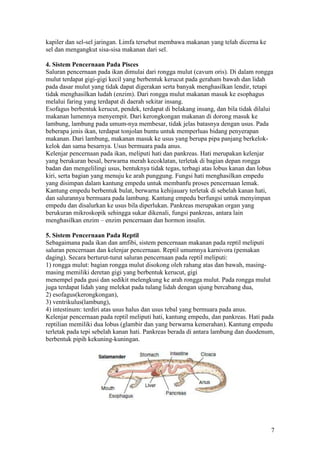 Sistem pencernaan-hewan | PDF