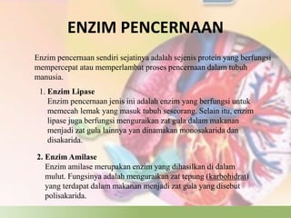 sistem pencernaan manusia, organ pencernaan manusia | PPTX