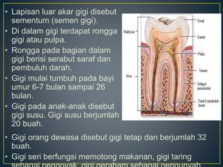 Sistem pencernaan pada manusia | PPTX