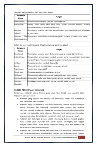 Sistem pencernaan | PDF