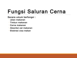 Sistem pencernaan (fungsi dan pergerakan saluran cerna) | PPT
