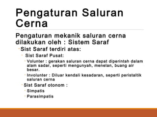 Sistem pencernaan (fungsi dan pergerakan saluran cerna) | PPT