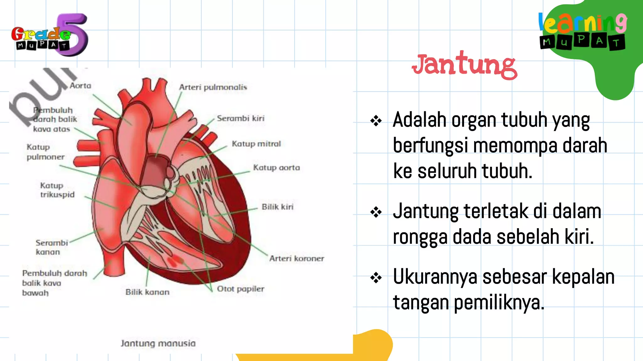 SISTEM-PEREDARAN-DARAH.pdf