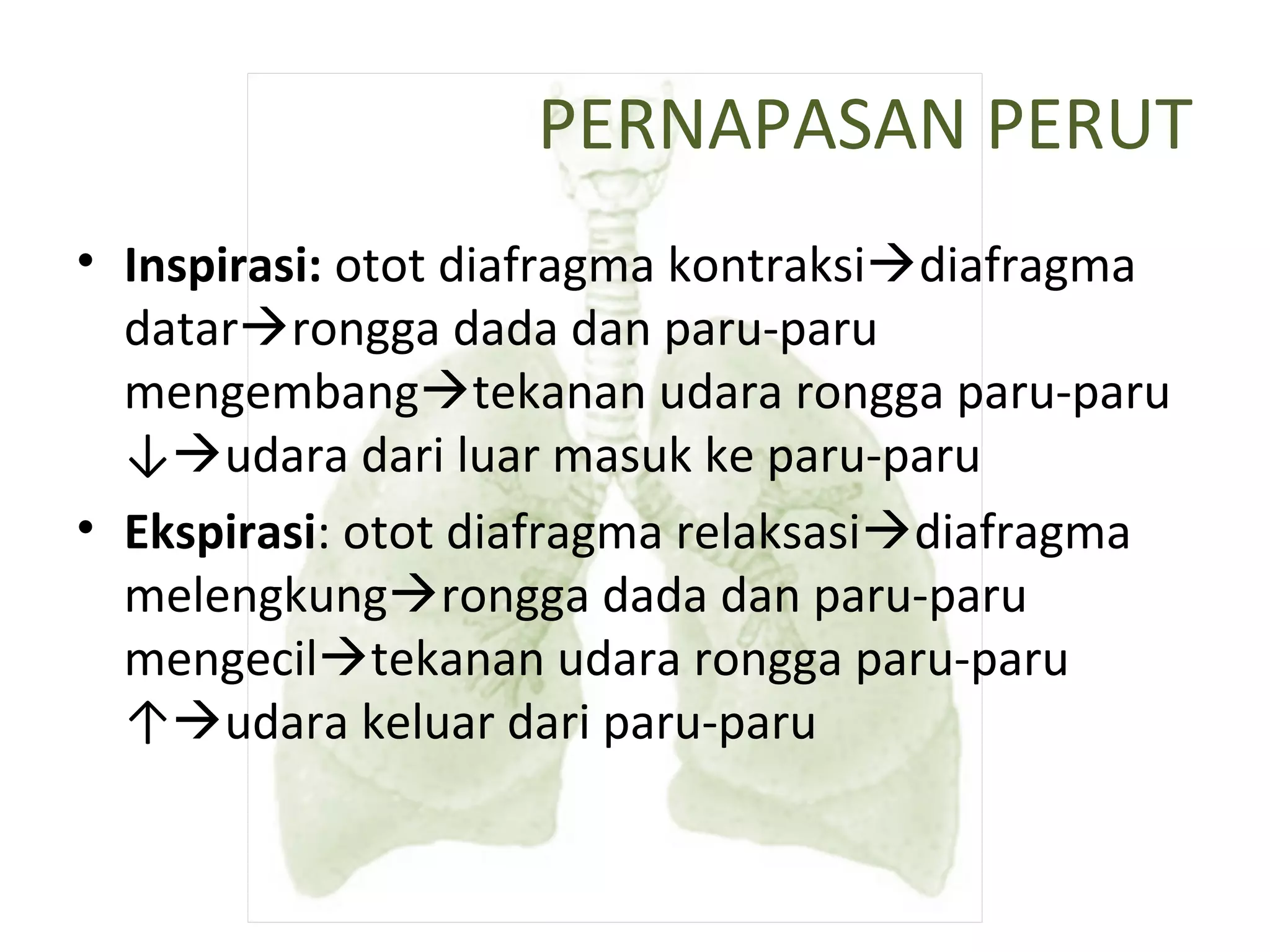 Sistem pernapasan-manusia | PPT