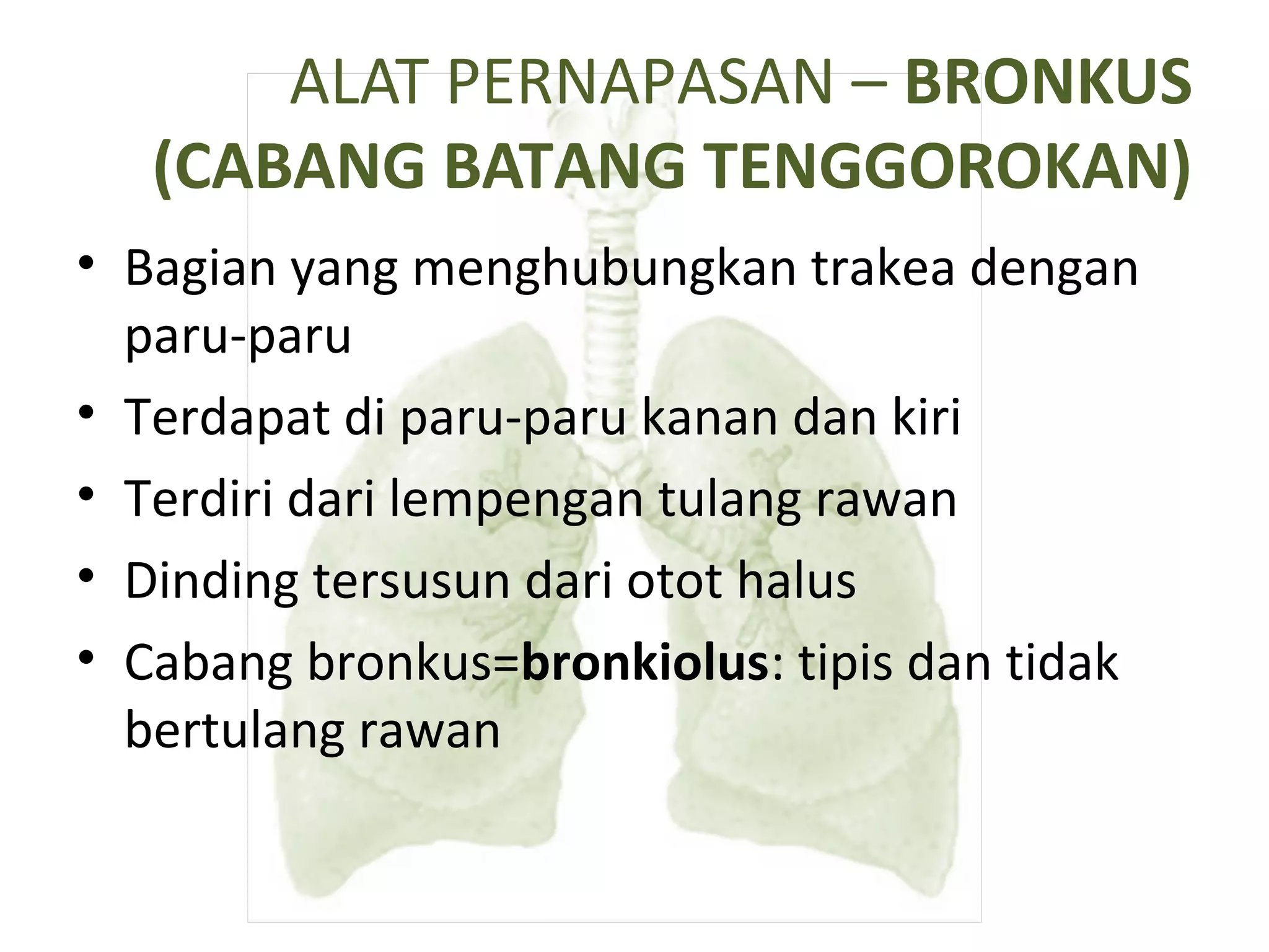 Sistem pernapasan-manusia | PPT