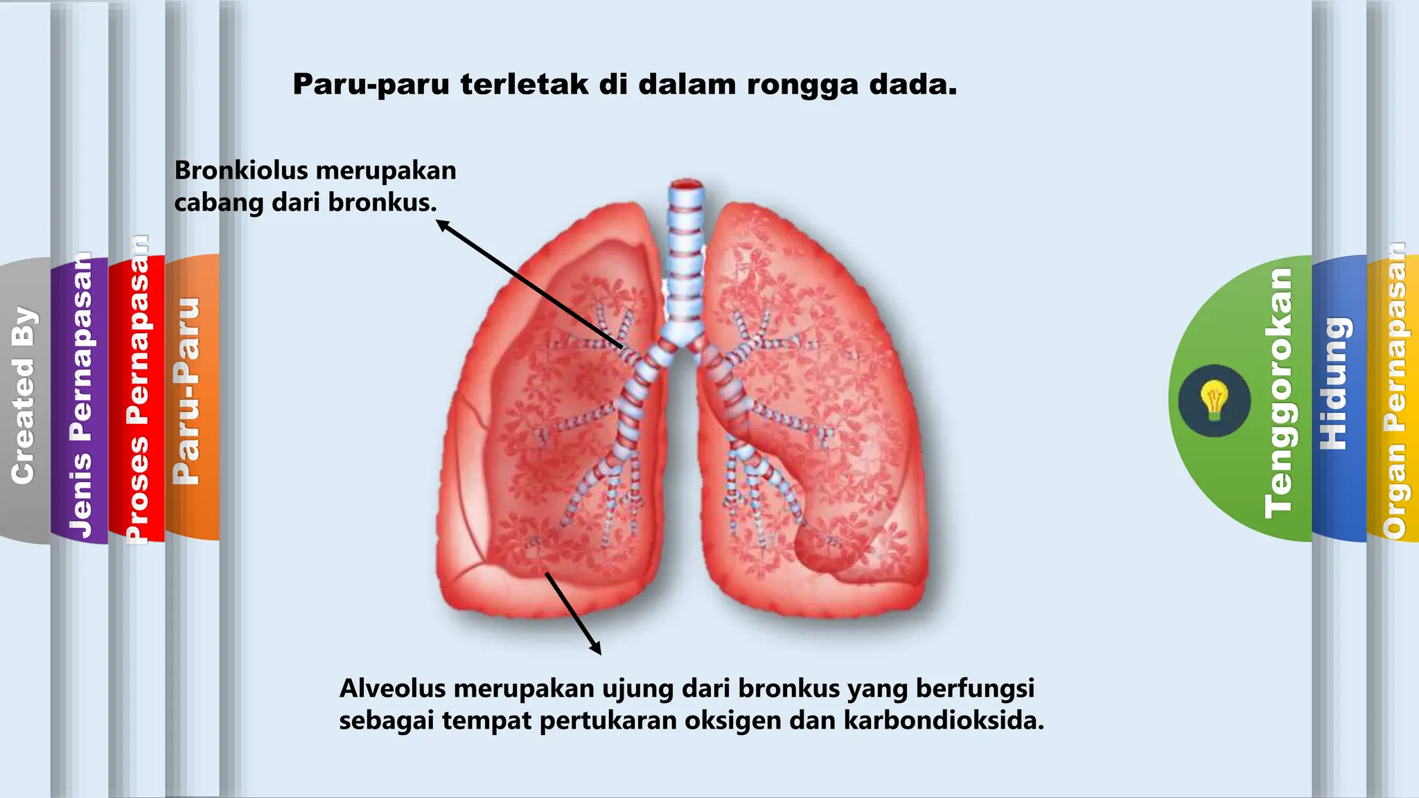 Materi penjelasan sistem-pernapasan-manusia | PPTX