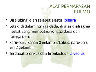 Anatomi dan Fisiologi Manusia-sistem-pernapasan-manusia.pptx