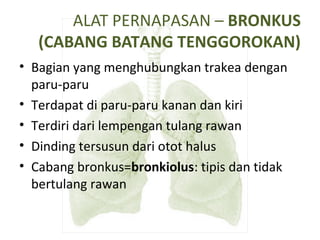 Sistem pernapasan-manusia (1) | PPT