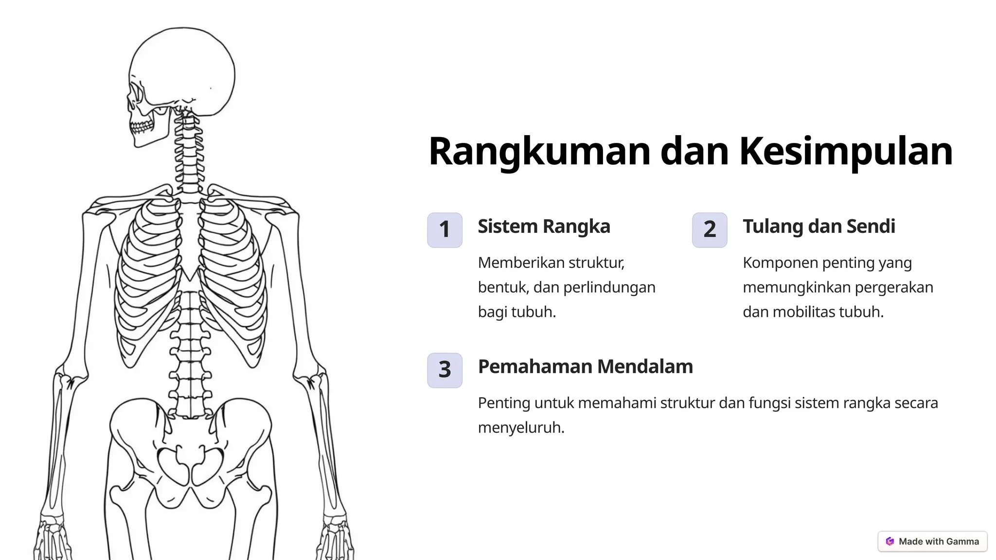 Sistem-Rangka-Pengertian-dan-Fungsi.pptx