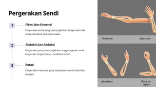 Sistem-Rangka-Pengertian-dan-Fungsi.pptx