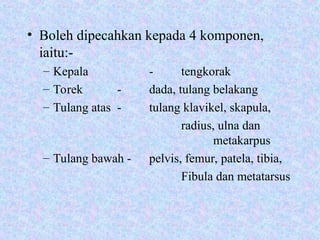 sistem-rangka3994.pptKKIKLLLKKIIKLSUIKKAIK | PPT