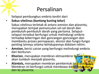 Sistem reproduksi-fertilisasi-kehamilan | PPTX