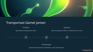 Sistem-Reproduksi-Jantan-dan-Gametogenesis.pptx