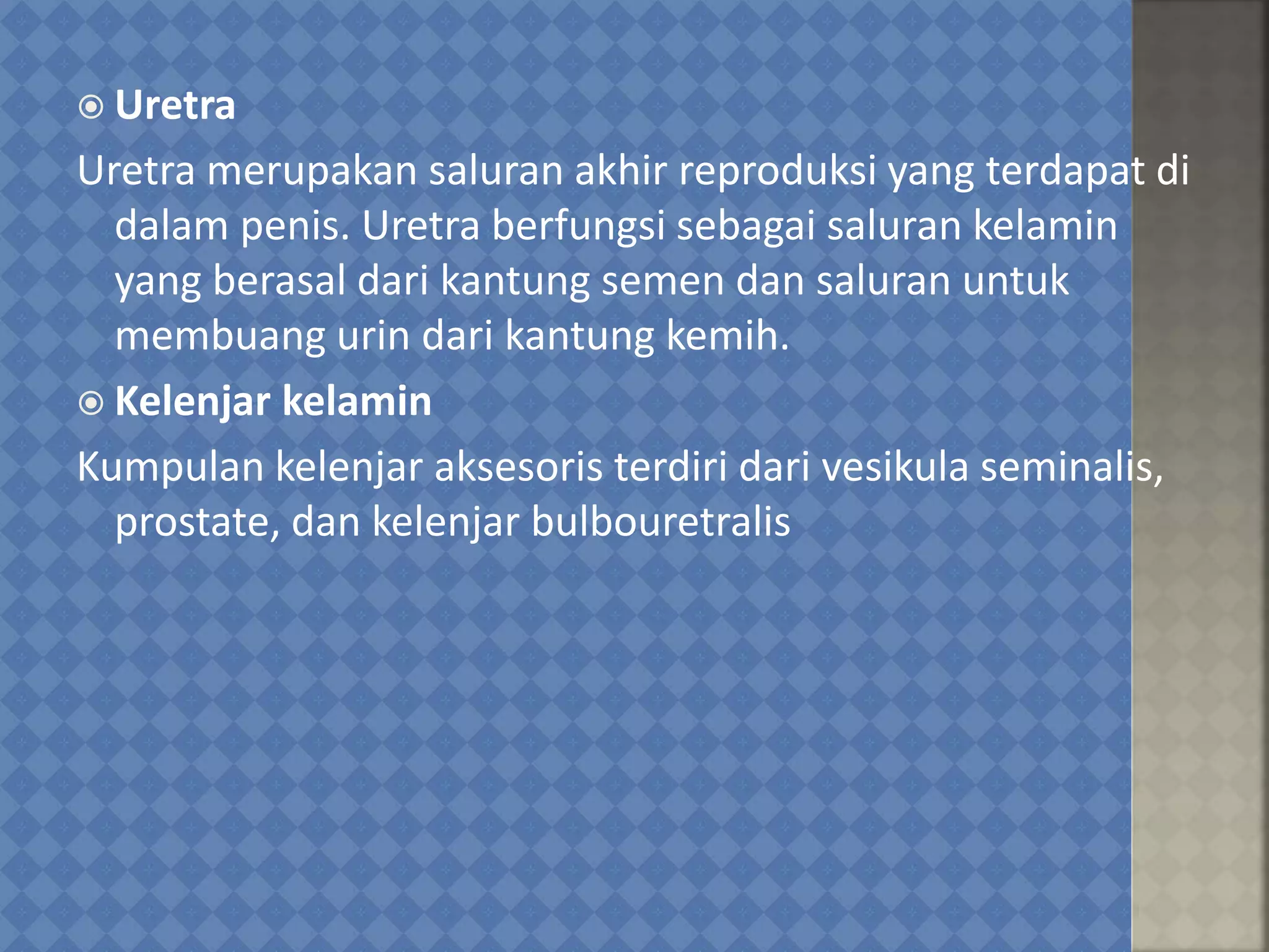 sistem-reproduksi-manusia-materi-ajar.pptx