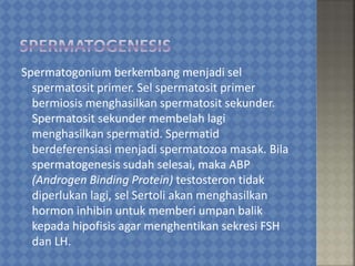 sistem-reproduksi-manusia-materi-ajar.pptx