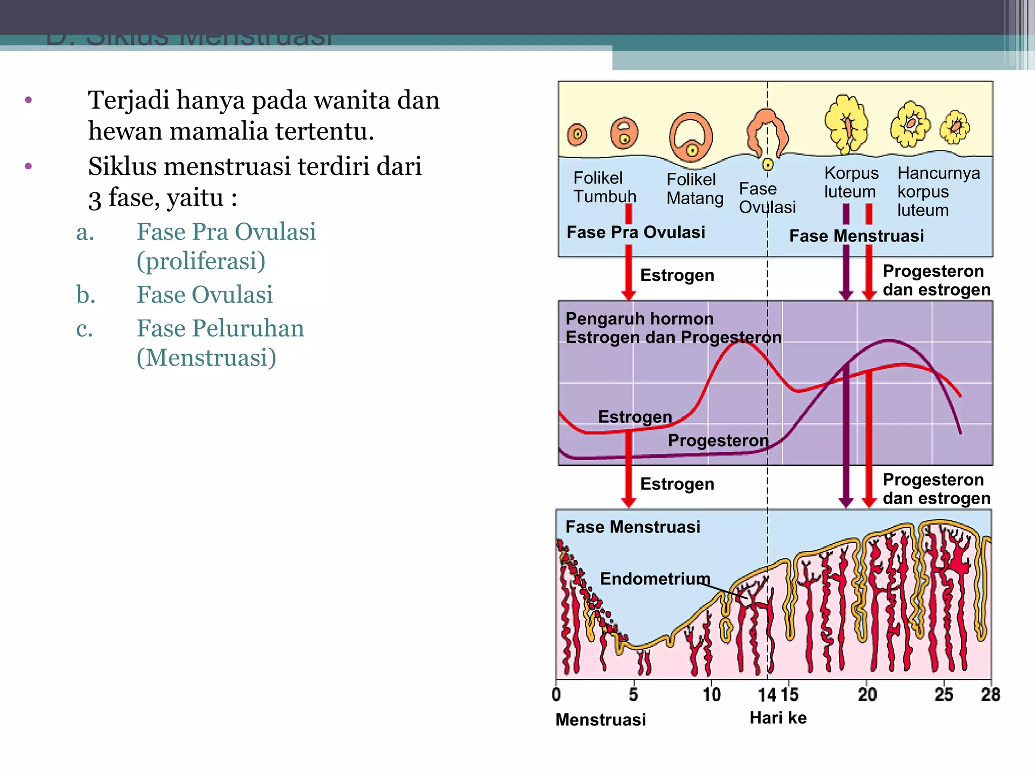 Sistem reproduksi-pada-manusia | PPT