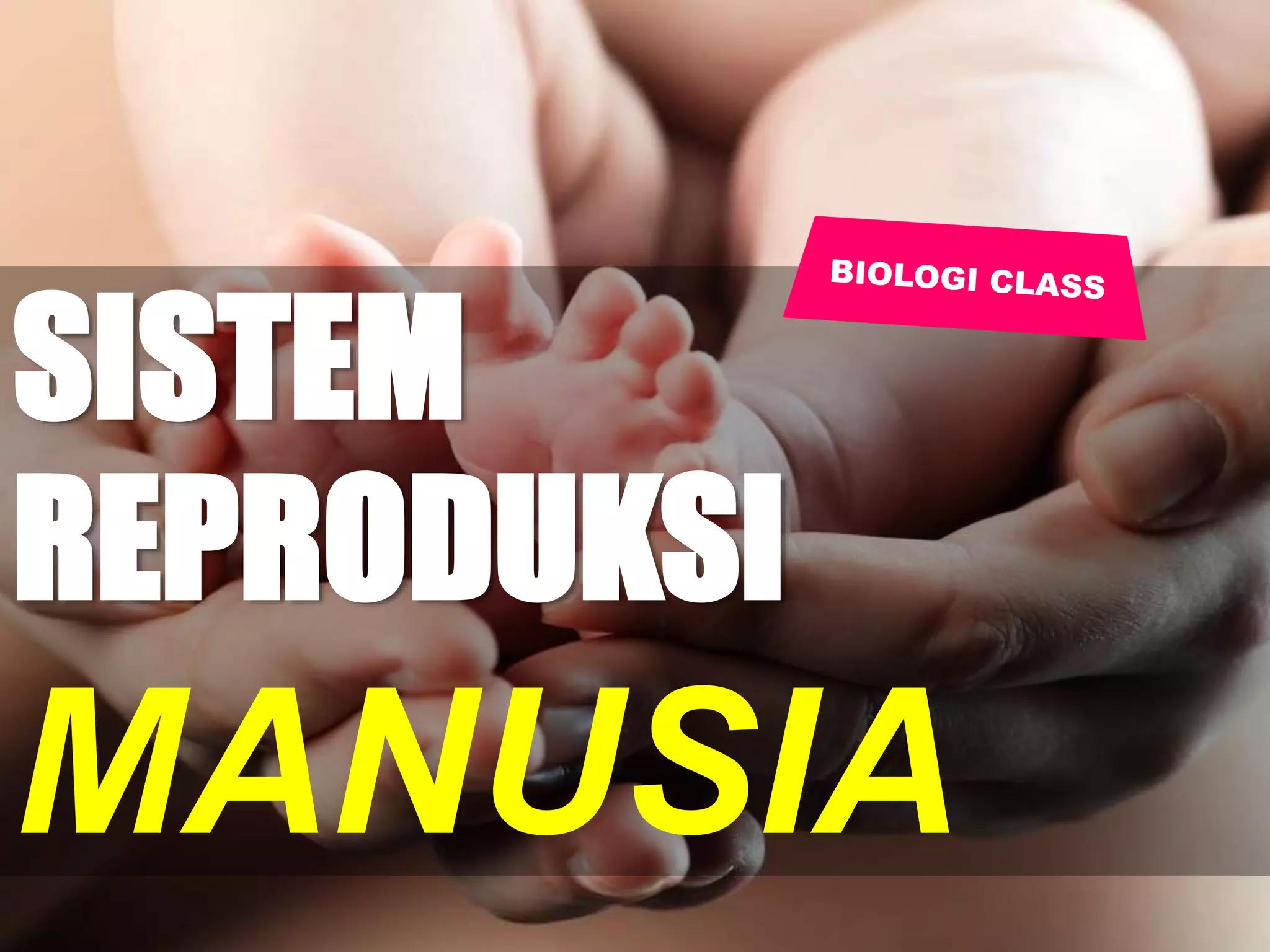 Sistem Reproduksi pada Manusia | PPTX