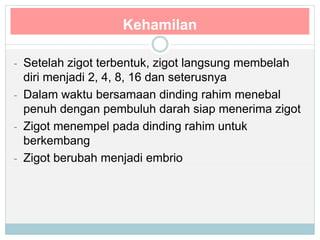 Sistem Reproduksi pada Manusia | PPTX