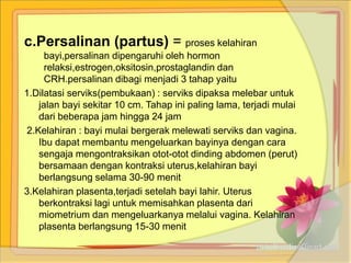 Sistem reproduksi-pd-manusia | PPTX