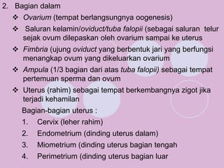 sistem-reproduksi-pd-manusia.ppt