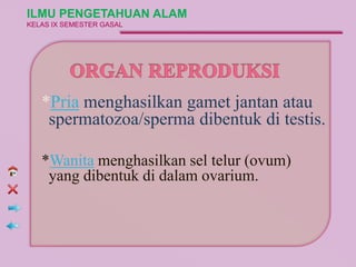 sistem-reproduksi-pd-manusia.ppt