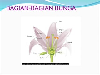 sistem-reproduksi-tumbuhan-dan-hewan.ppt