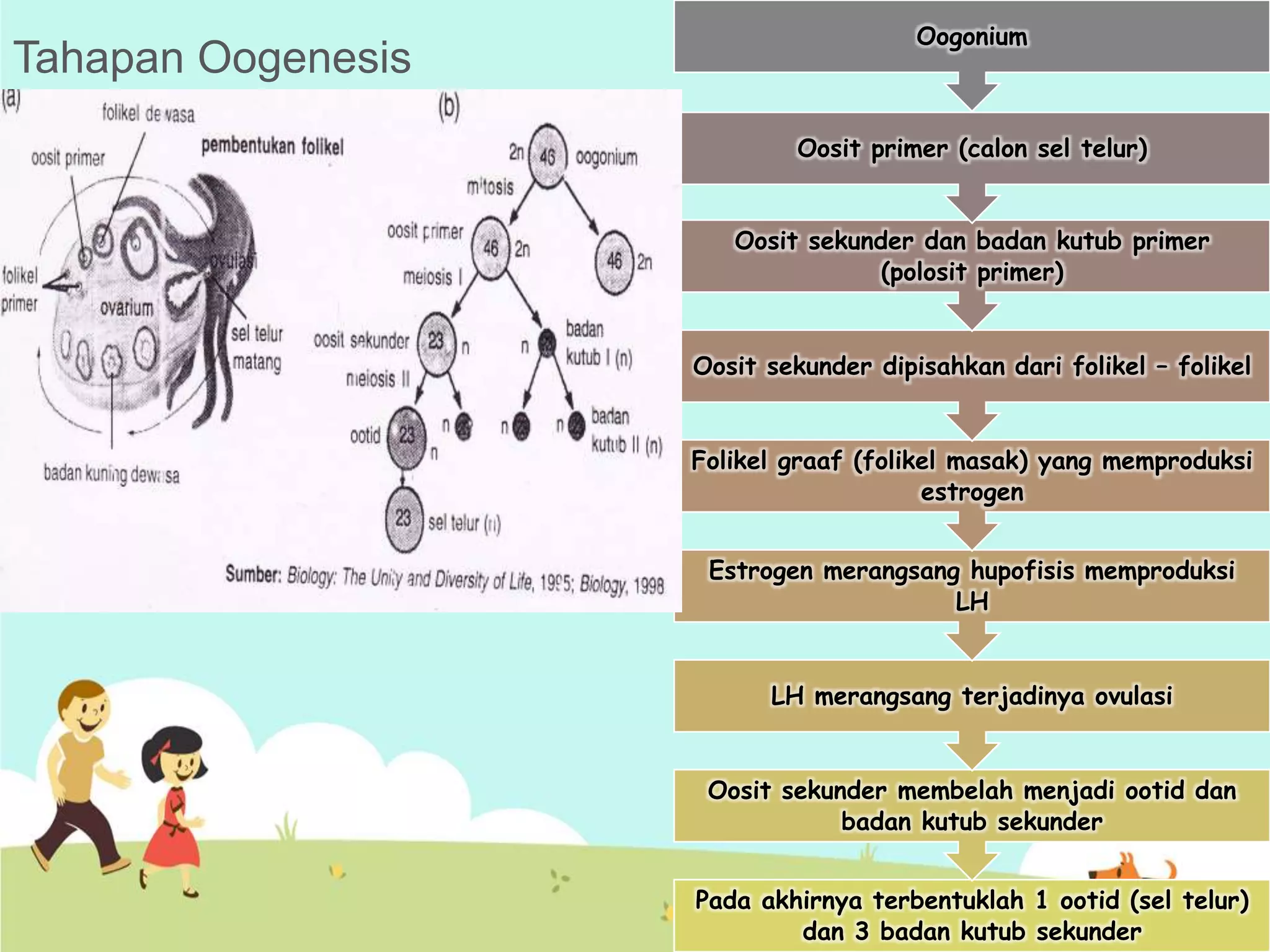 Sistem-reproduksi-wanita_kel-9..pptx