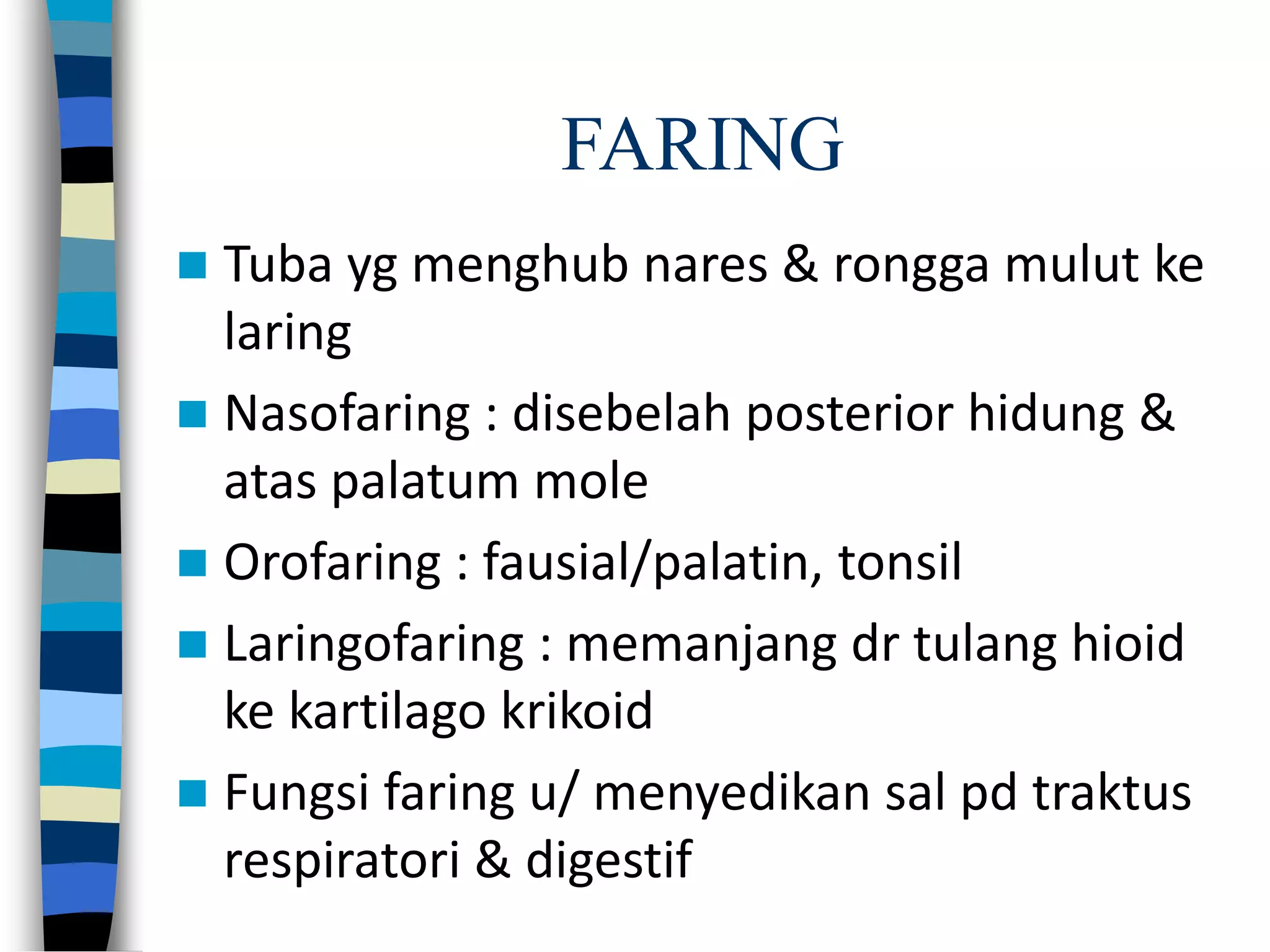 sistem-respirasi.ppt